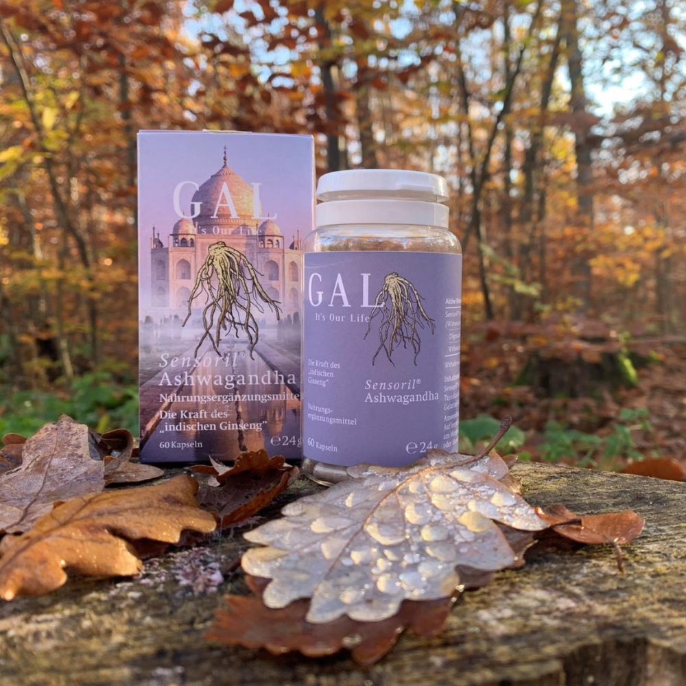 GAL Sensoril® Ashwagandha 60 Capsule - FitAndHealthy.ro